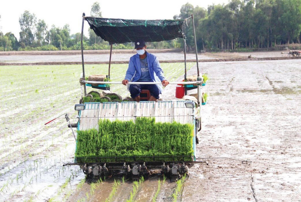 Đẩy mạnh ứng dụng công nghệ cao - Long An trở thành vựa lúa lớn - Vn24h.vn